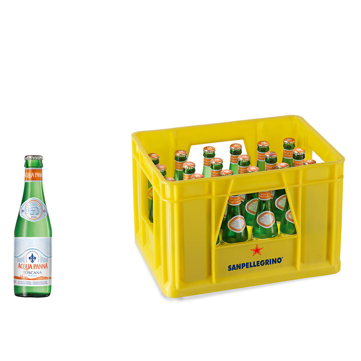 Acqua Panna 24 x 0,25l | Banach Getränkeshop